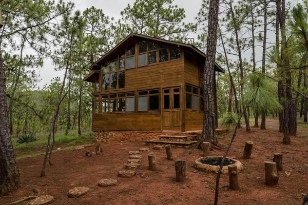 Cabaña Jabalí Para 7 Personas En El Bosque De Mascota - Nayarit