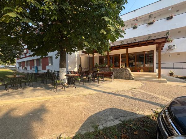 Hotel Camelia - Romania