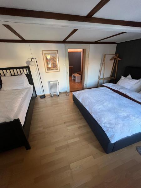 Chalet Bijou, The Cozy House - Meiringen