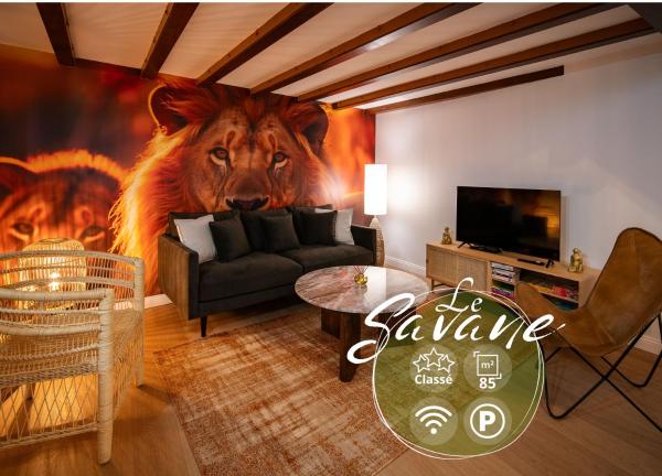 Le Savane - Grand Triplex Climatisé, 2 Salons - Castres