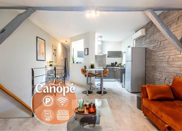 Le Canopé - Duplex Confort, Hypercentre, 2 Salles D'eau - Castres