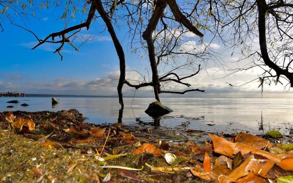 Elegantes & Modernes Apartment Neli Mit Terrasse, 100m Zum Hafen Röbel Müritz - Röbel/Müritz