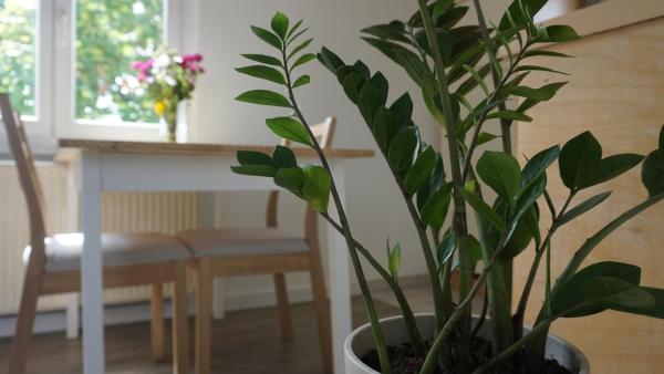 Zentrale & Frisch Renovierte Unterkunft Am Bahnhof - Kirchheim unter Teck