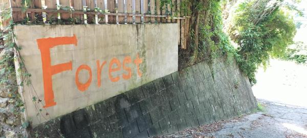 Forest - Tokyo