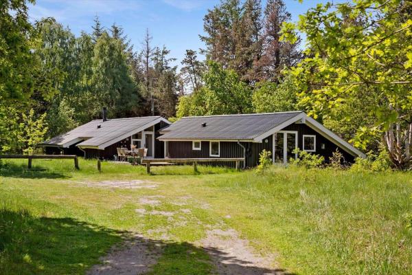 Tv1657-albaek-gnuvej-1 - Denmark