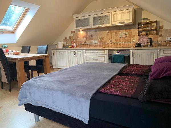 Studio Z Kominkiem Z Leśną Sauną I Jacuzzi I Basenem Do Morsowania W Okolicy Cieszyn I Wisła I Ustron - Ustroń