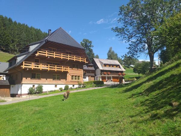 Unterhohnenhof - Triberg