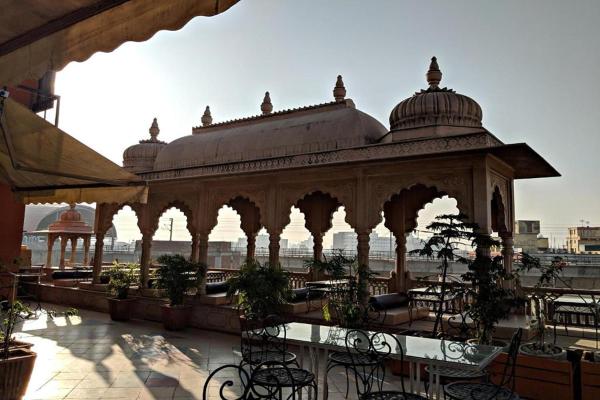 Gypsy Monkey - Jaipur