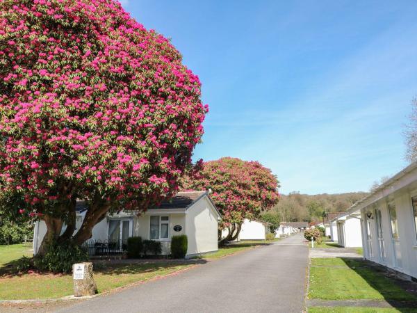 Willow Lodge - Devon