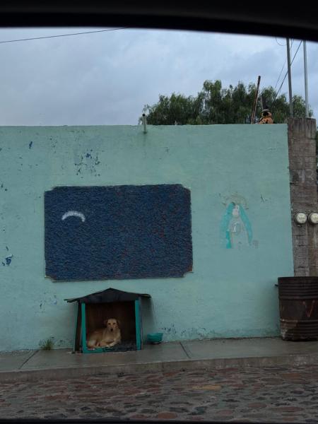 La Vecindad - Querétaro
