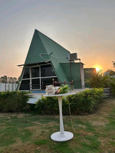 Rk Farm's - Hyderabad