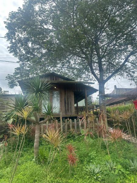Nhà Gỗ Măng ĐEn - Quang Ngai