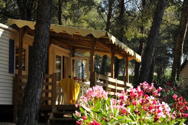 Camping Les Dauphins - Saint-Cyr-sur-Mer