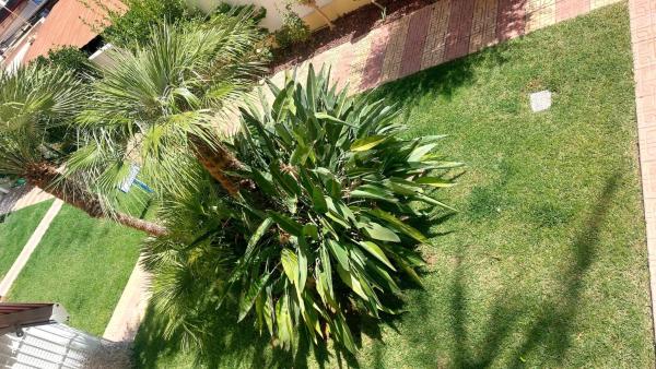 Apartamento Familiar Primera Línea De Playa - Benidorm