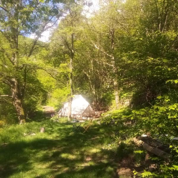 Grande Tente Tipi En Pleine Forêt - Thueyts