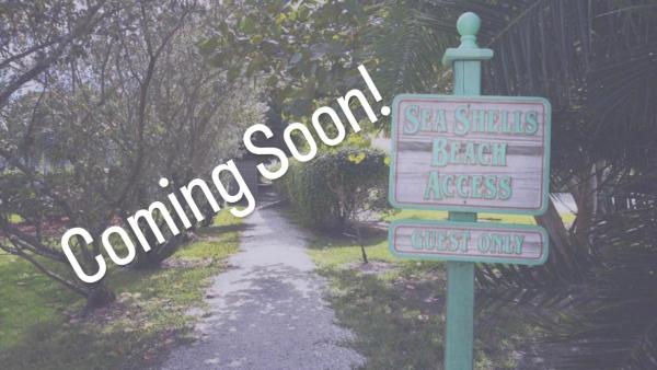 Seashells #29 - Sanibel, FL