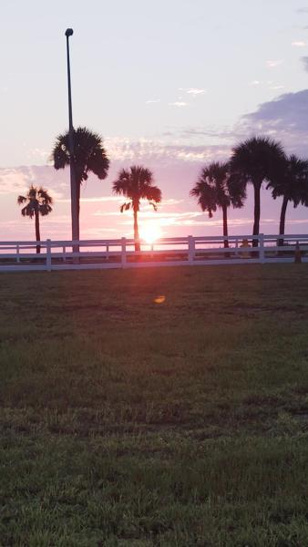 Beach Spot - Daytona Beach, FL
