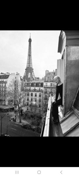 Vue Imprenable Sur La Tour Eiffel - Paris