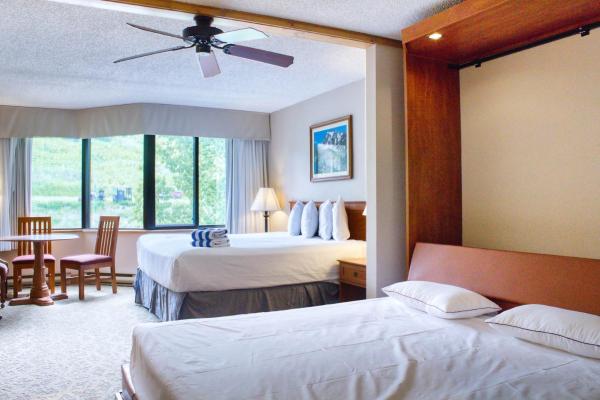 Studio With Pool Hot Tub Biking Trails - Crested Butte, CO