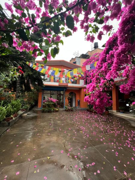 Sun Rise Cottage - Katmandú