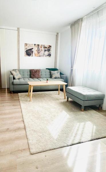 Modern Apartment In City Center - Iași