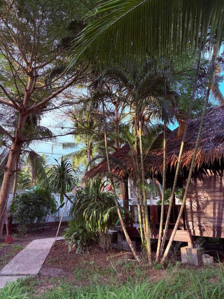 Authentic Thai Wooden House Coconut Lane - Ko Pha Ngan