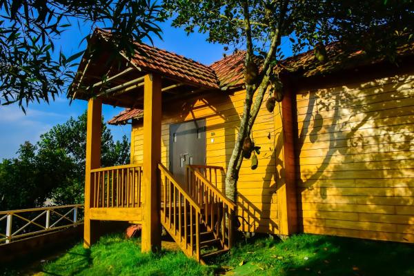Novem Eco Resort - Assam