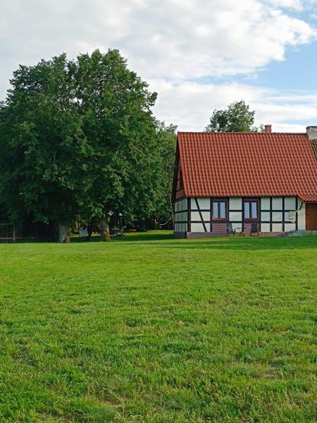 Siedlisko Wilczyny - Mazury