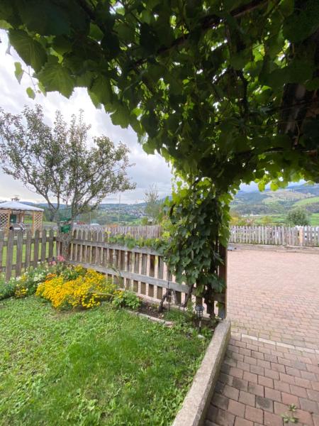 Casa Dei Broca - Cavalese Val Di Fiemme - Ziano di Fiemme