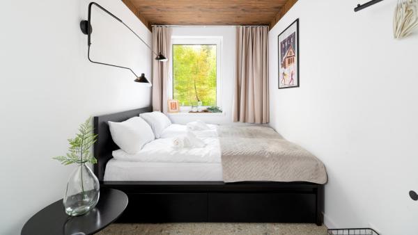 W Naturze - Apartament Dla Aktywnych Z Widokiem Na Las, Szlaki, Rowery, Biegówki, Blisko Jakuszyc I Czech - Harrachsdorf