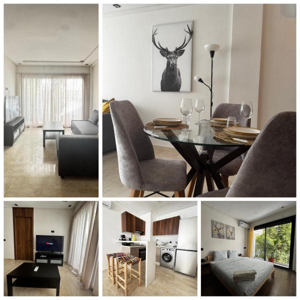 Cozy Green Studio - Casablanca