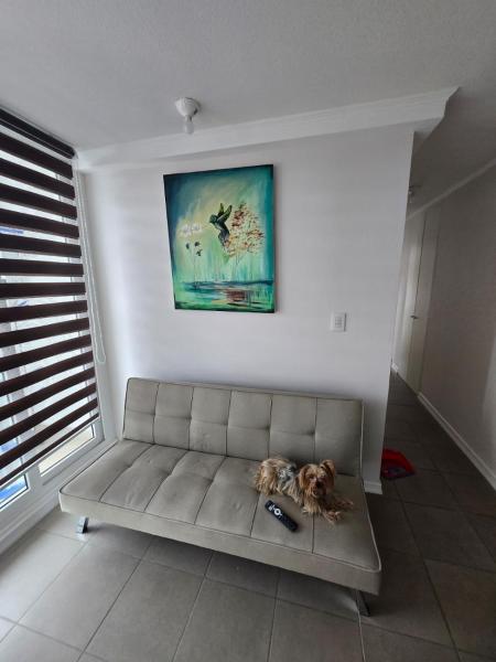 Departamento Nuevo, A Pasos Del Faro , Mall, Rica Gastronomía - La Serena