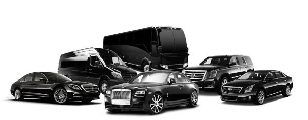 Airport Transport Service Raleigh Nc - Carolina del Norte