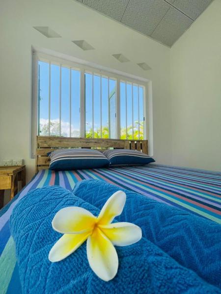 Berg House Hostel - Mirissa