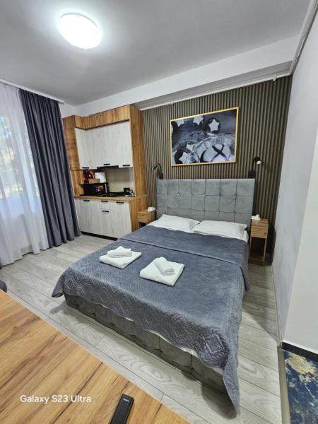 Achidav 133 - Roumanie