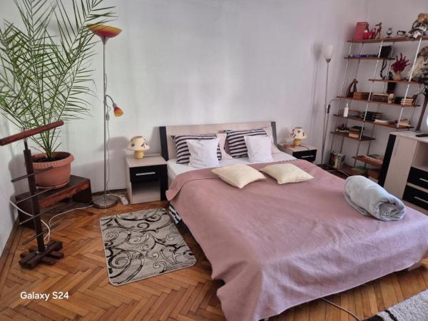 Old Town Petcu`s House - Brașov