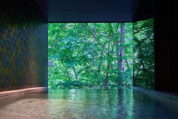 Shima Onsen Yuzuriha - Gunma