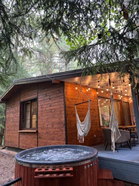 Sosnowy Strumyk - Minsk