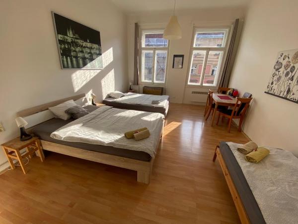Johan Apartments In Old Vinohrady - Praag