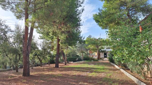 Residence Family House - Vieste