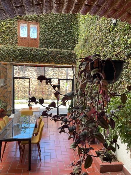 Hotel Casa Linda - San Cristóbal de las Casas