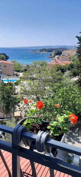 Apartman Petra - Krk