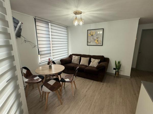 Hermoso Departamento En Centro Histórico - Santiago