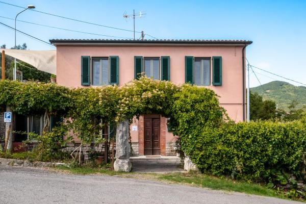 La Balena Rosa - Monte Amiata