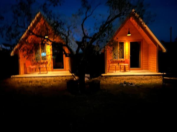 Camping Tree Olives - Albania