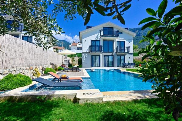 Karya Luxury - Holiday Villa With Private Pool For 6 People In Hisarönü - Hisarönü