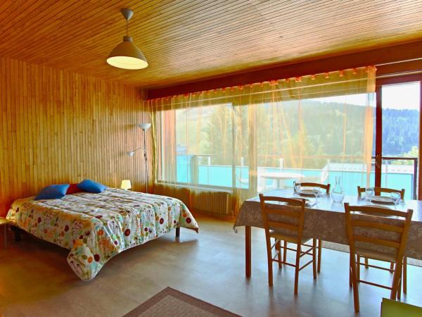 300m From Ski Slopes, 1st Floor, Balcony, Tv, 35m², Chamrousse - Chamrousse