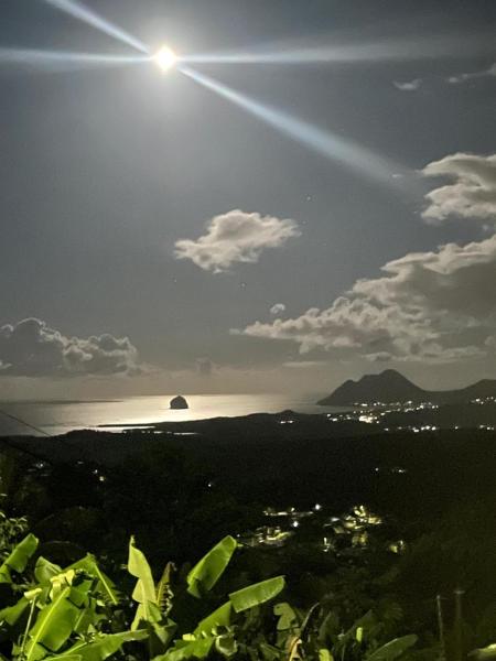 Abri Papaye - Martinique