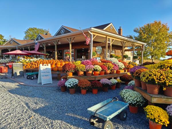 Bayfront & Nature Preserve! - Riverhead, NY