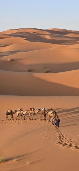 Maison Merzouga Guest House - Maroc